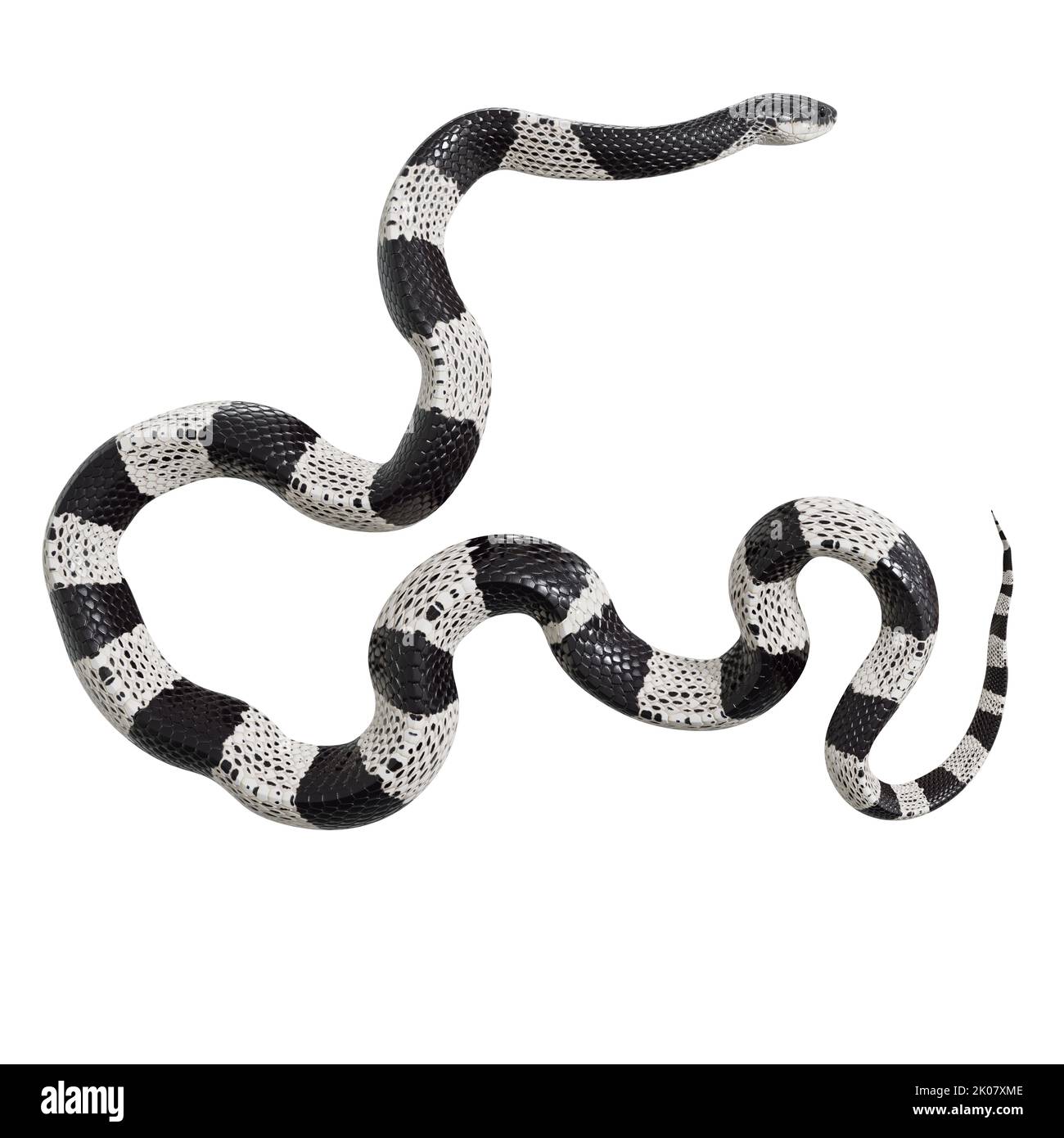 3d animated animals Cut Out Stock Images & Pictures - Alamy