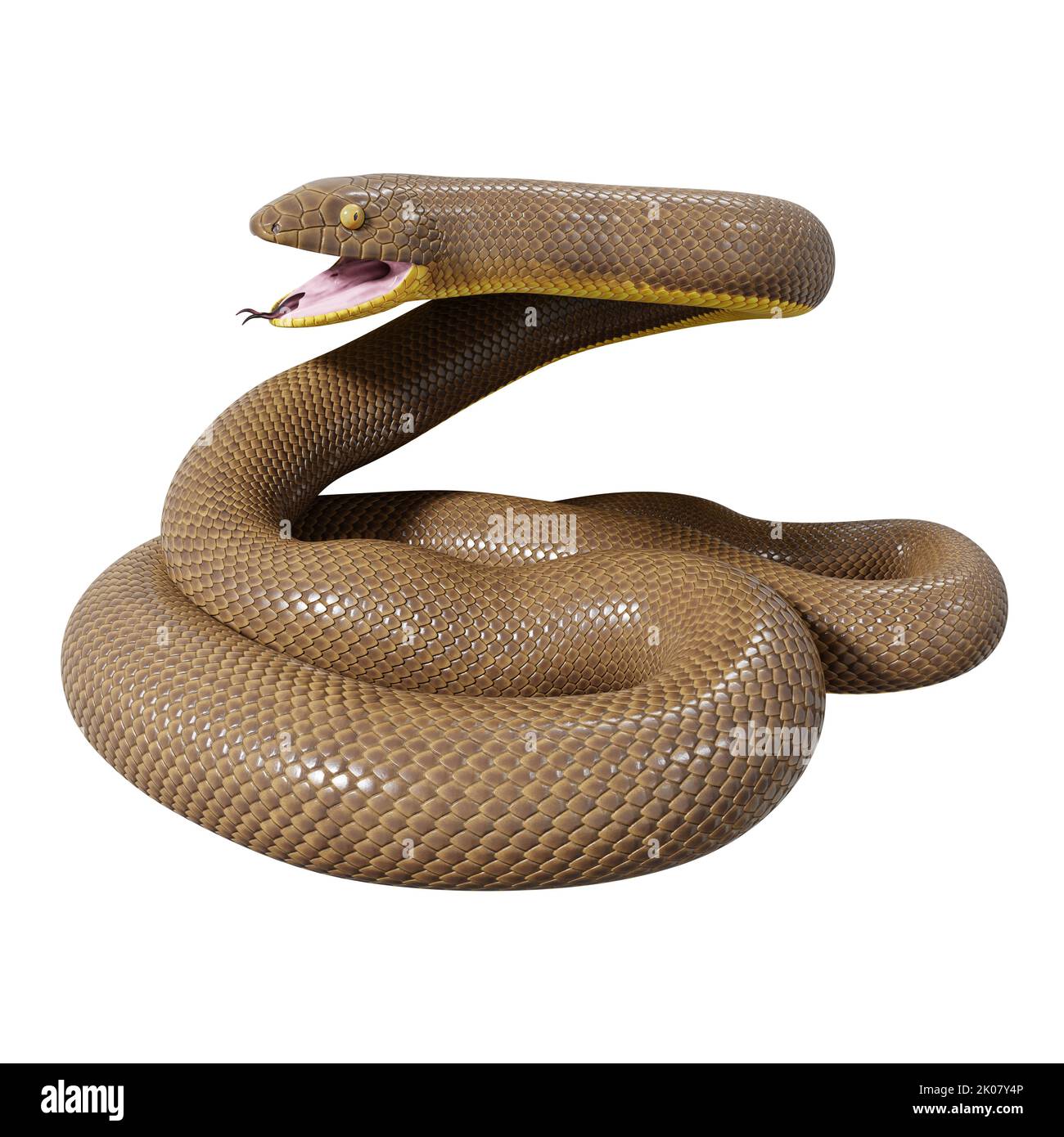 Malayan Krait 3D illustration Stock Photo - Alamy