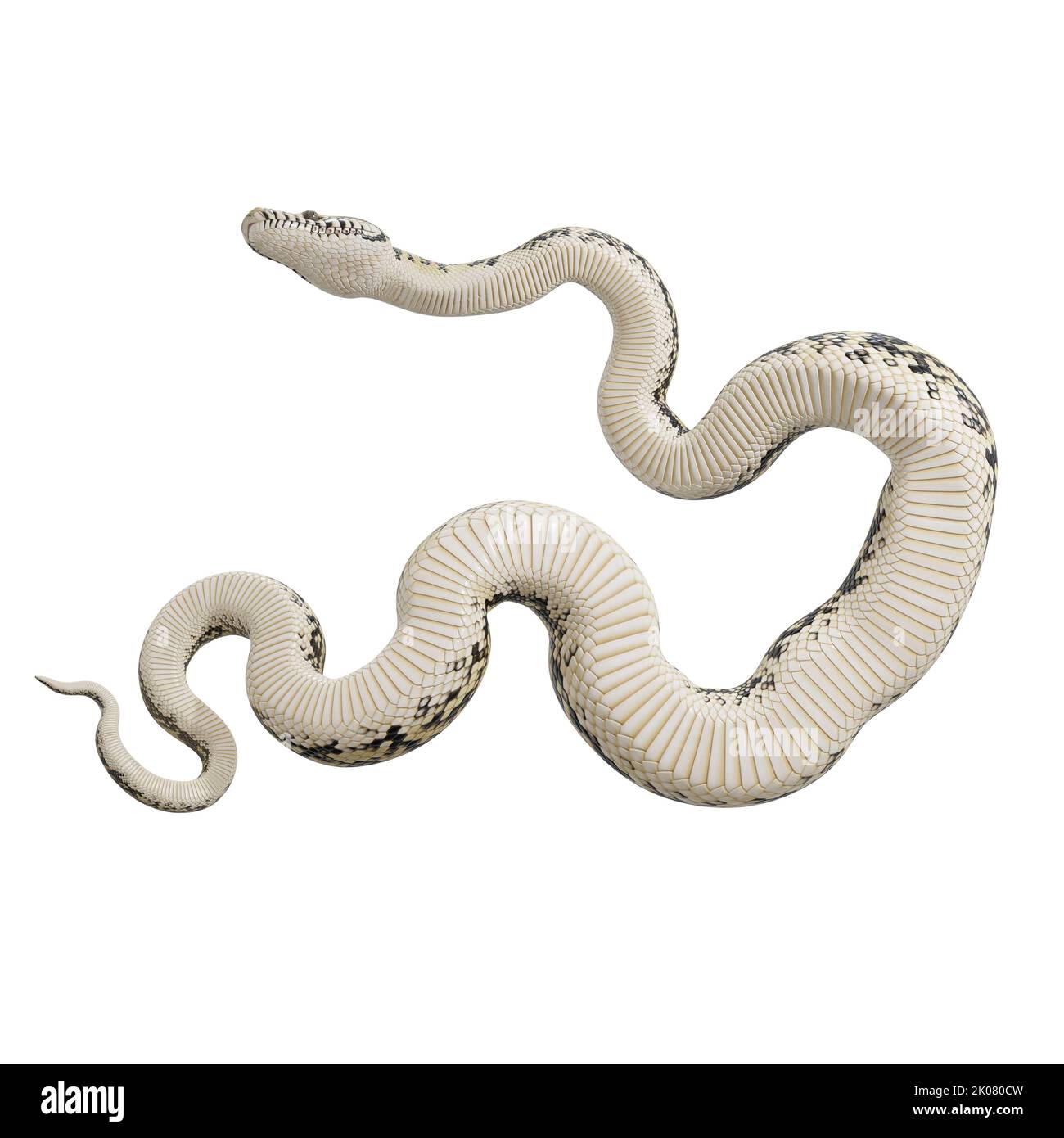 Scrub python 3D illustration Stock Photo - Alamy