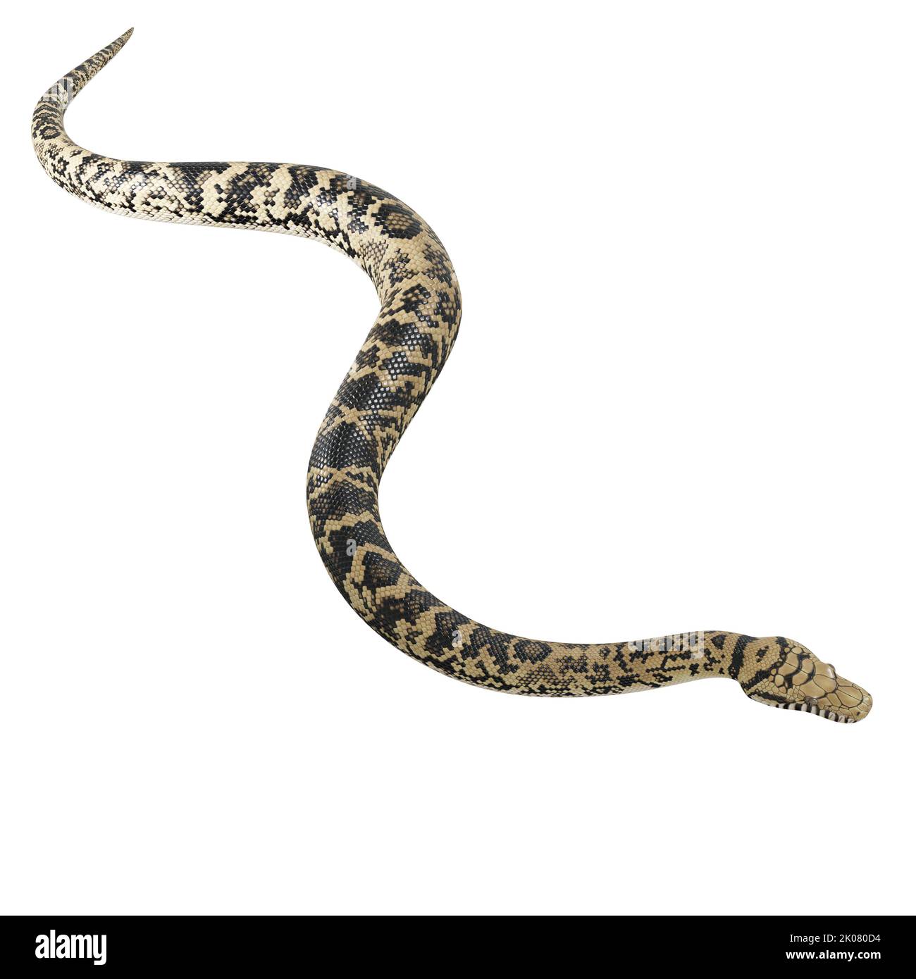 3d animated animals Cut Out Stock Images & Pictures - Alamy