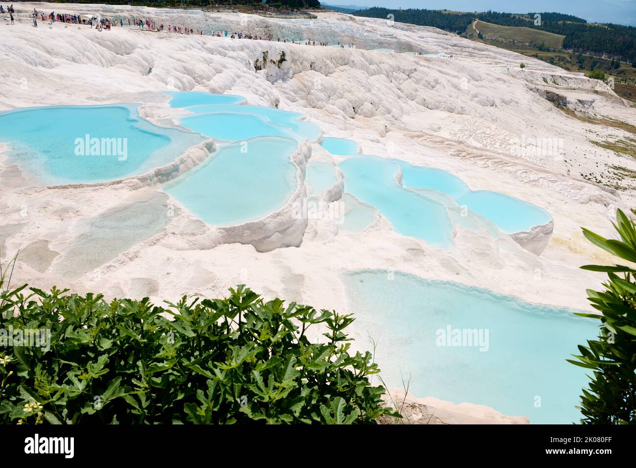 blue pools in Pamukkale travertine terraces, Denizli, Turkey Stock ...