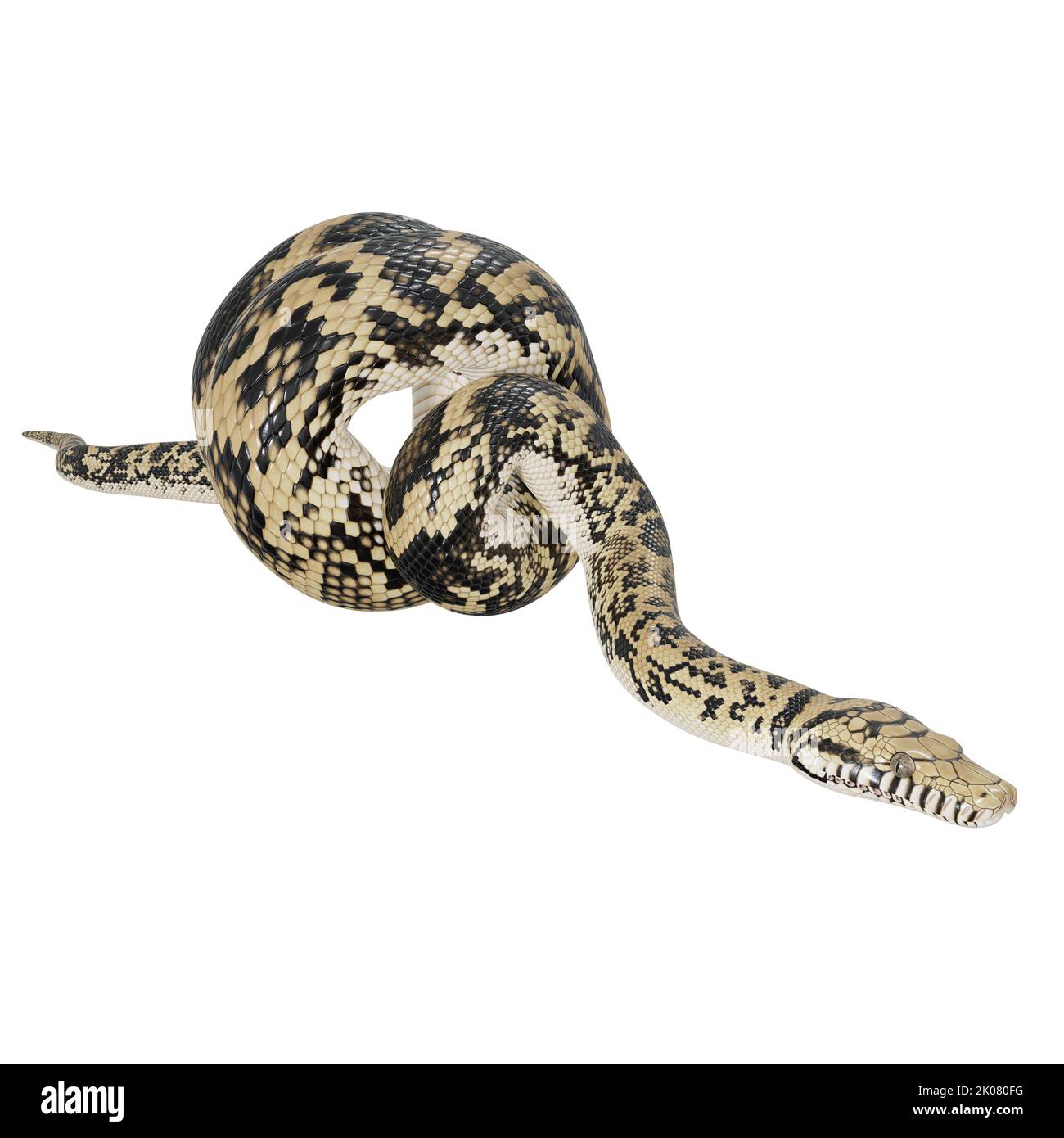 3d animated animals Cut Out Stock Images & Pictures - Alamy