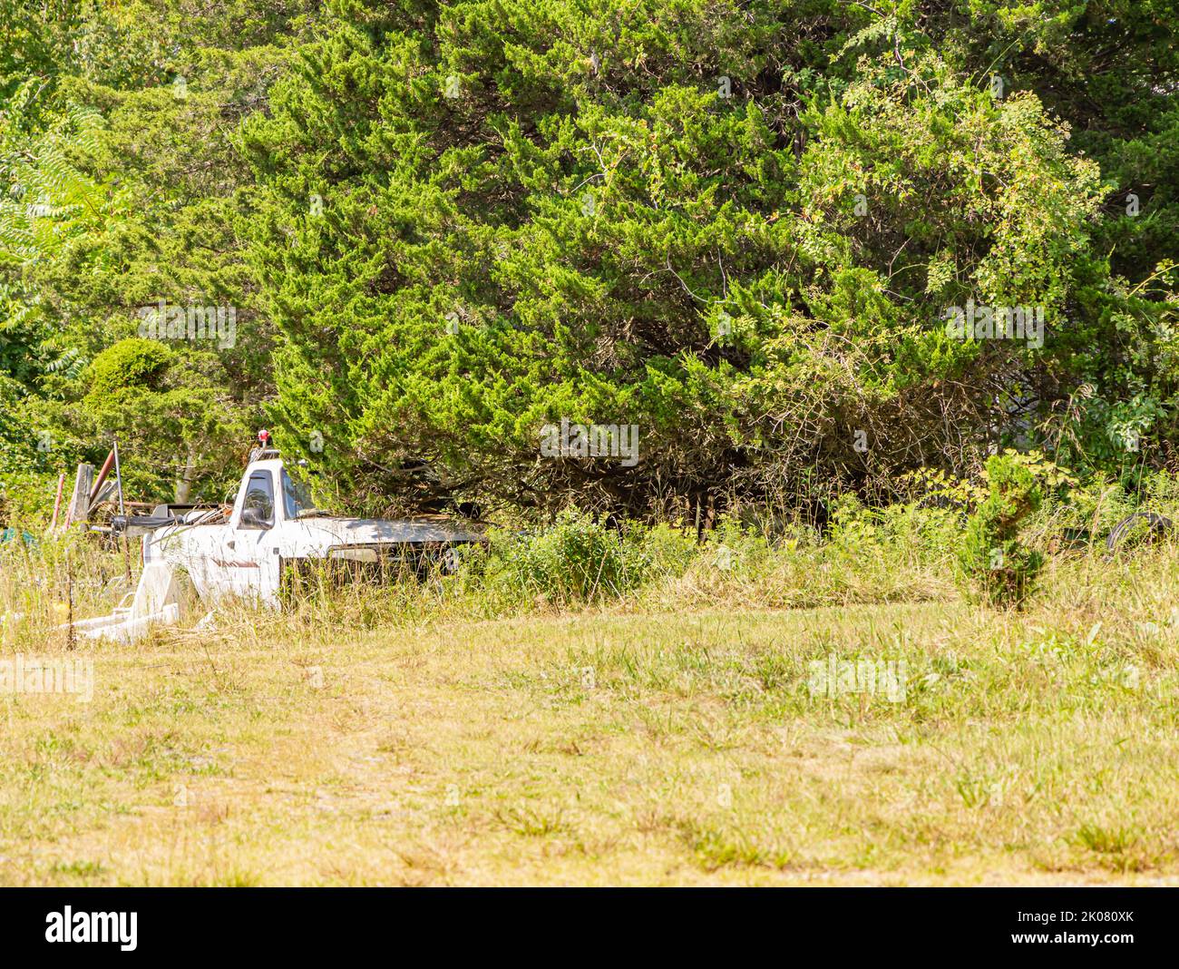 Old abandoned pickup truck in an overgrown lot Stock Photo - Alamy
