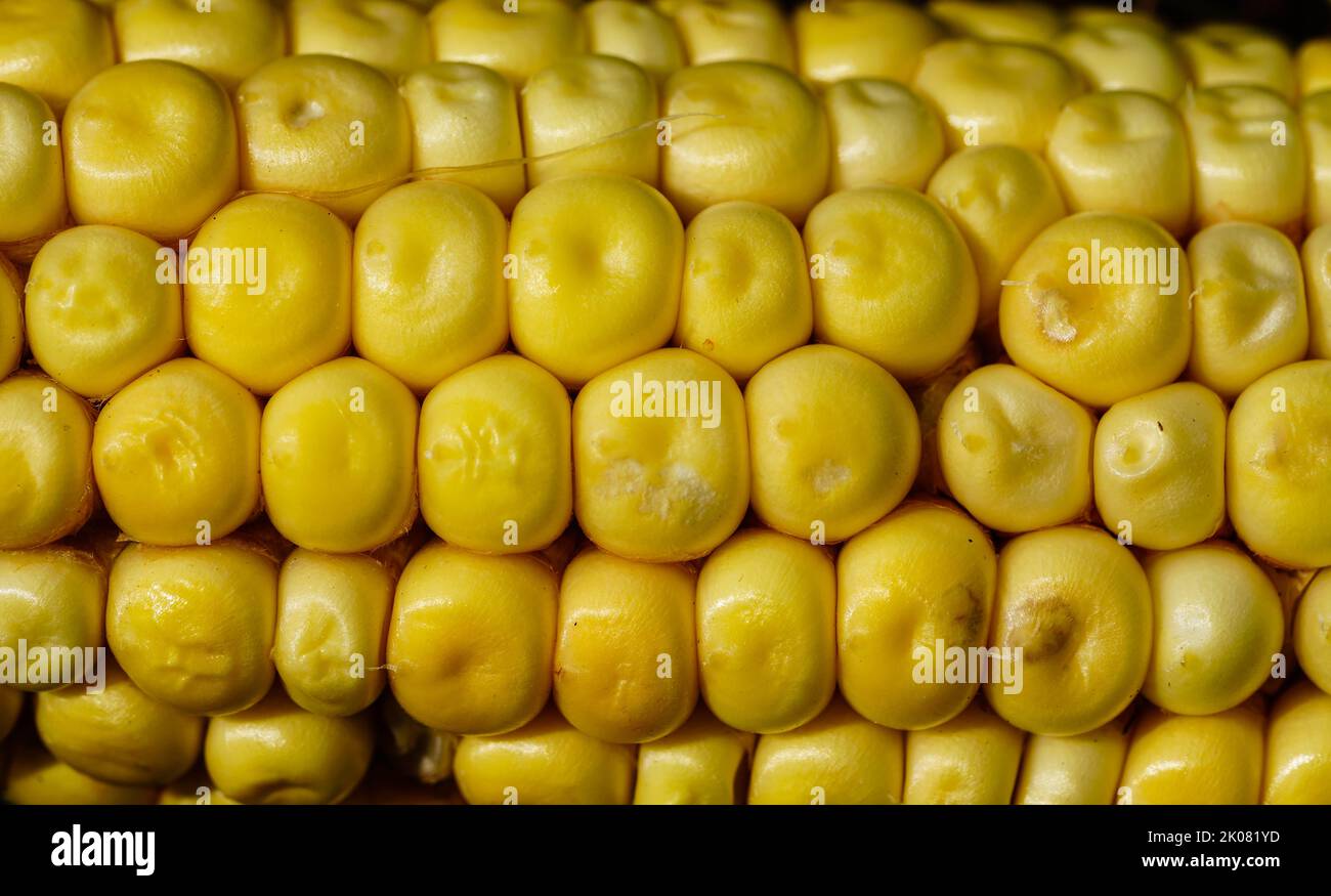 coloured food as abstract background or wallpaper Stock Photo - Alamy