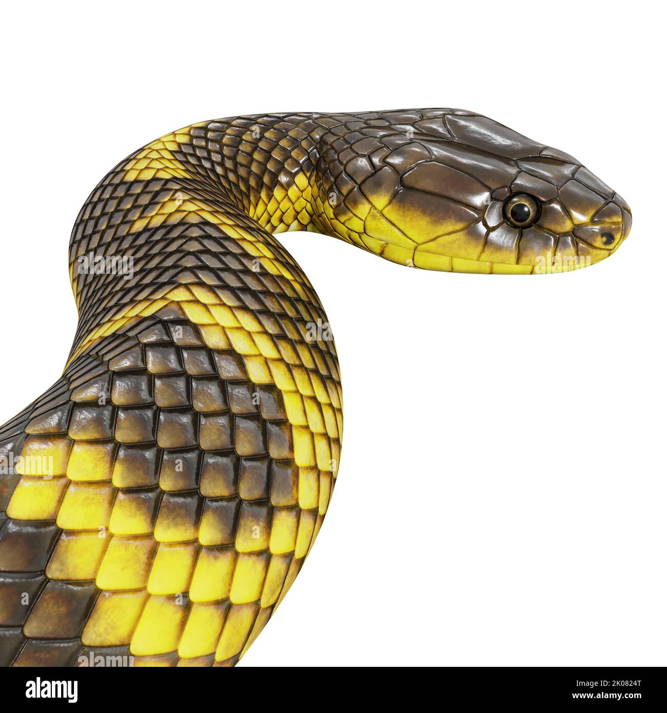 Vfx jungle hi-res stock photography and images - Alamy