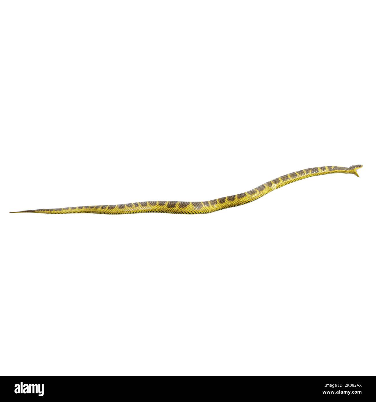 Vfx jungle hi-res stock photography and images - Alamy