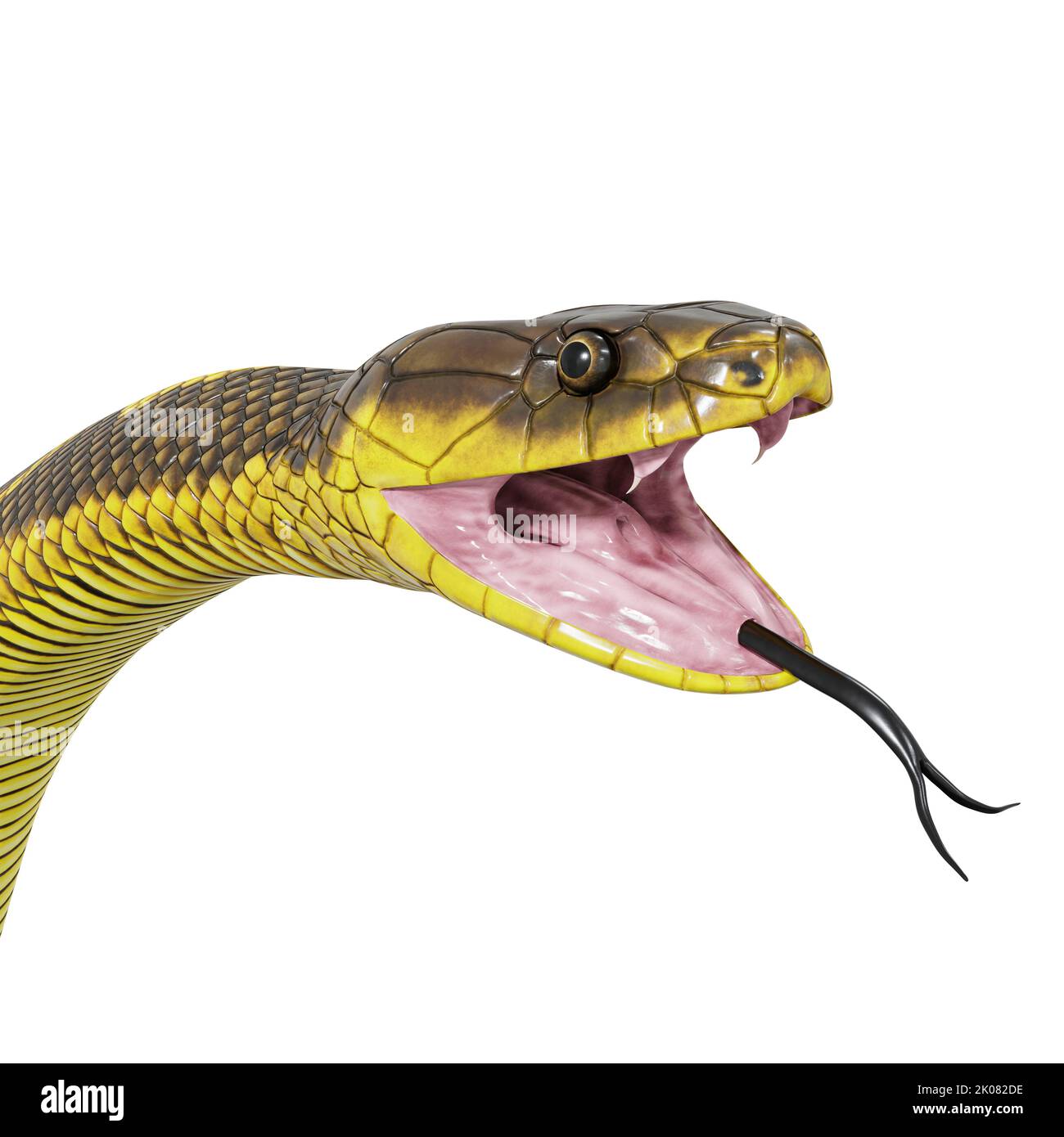 Zebra jungle carpet python 3D illustration Stock Photo - Alamy