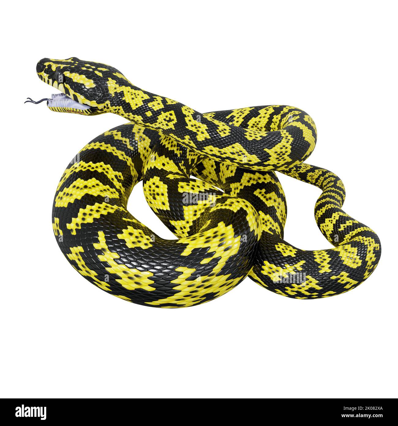 3D illustration of Zebra jungle carpet python Stock Photo - Alamy