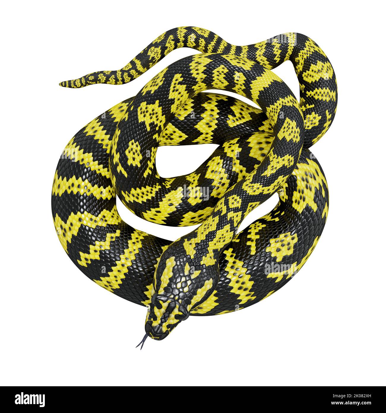 3D illustration of Zebra jungle carpet python Stock Photo - Alamy