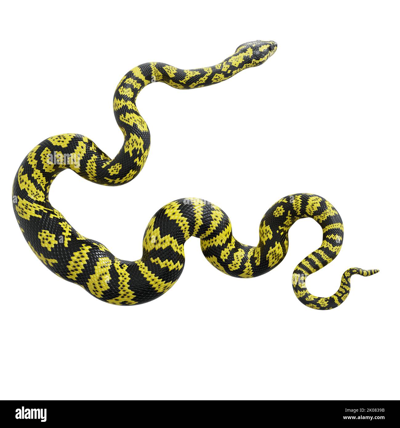 Vfx jungle hi-res stock photography and images - Alamy