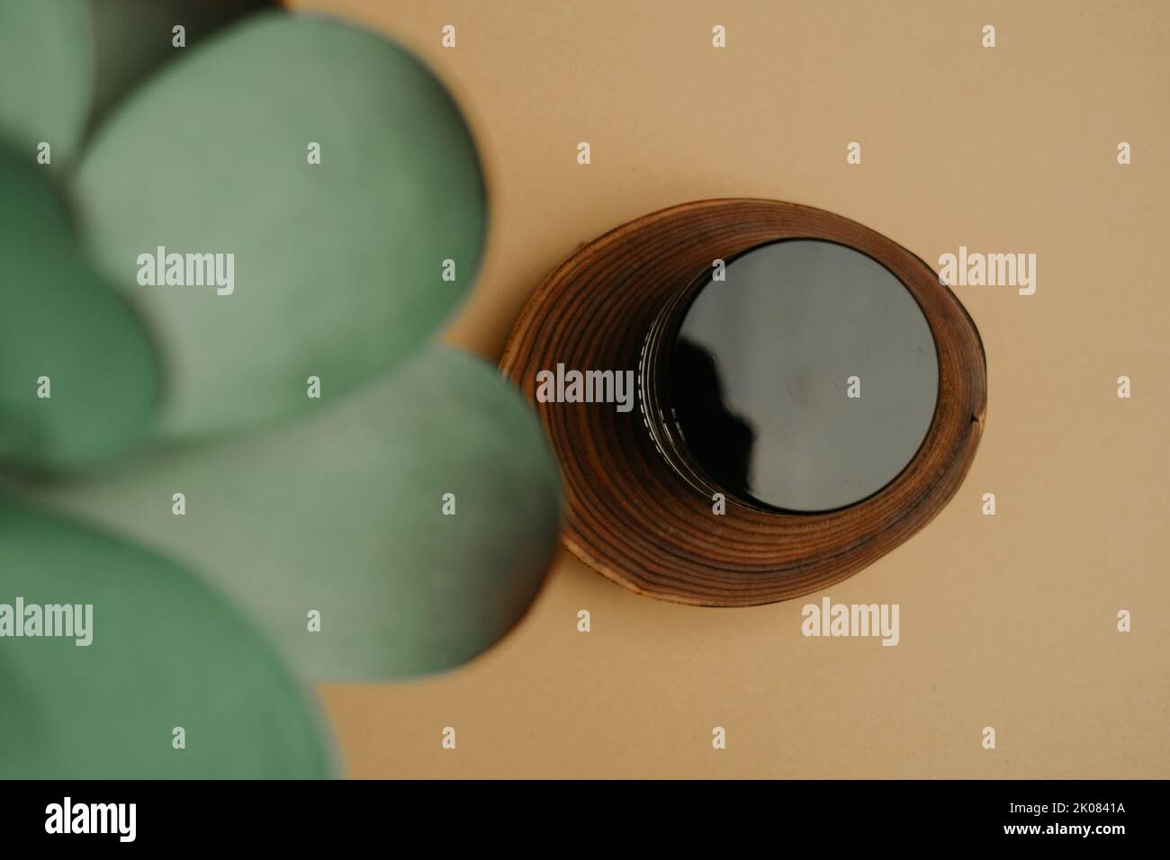 Bird eye view of container and plant leaf, collection Stock Photo - Alamy