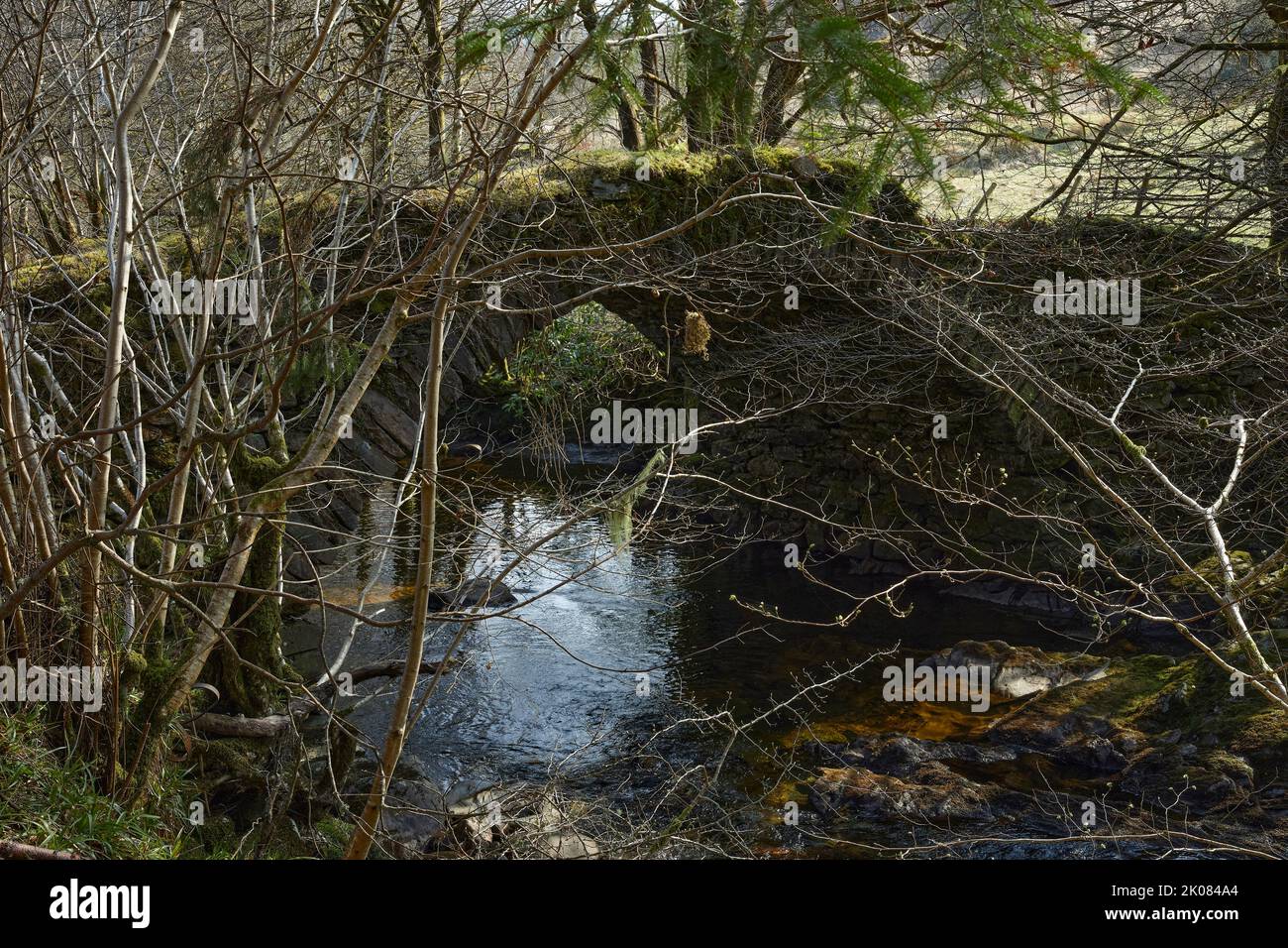 Shellish hi-res stock photography and images - Alamy