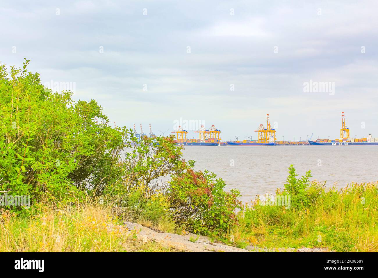 Natural dyke dike mudflat stones grass sea grass seaweed landscape with ...