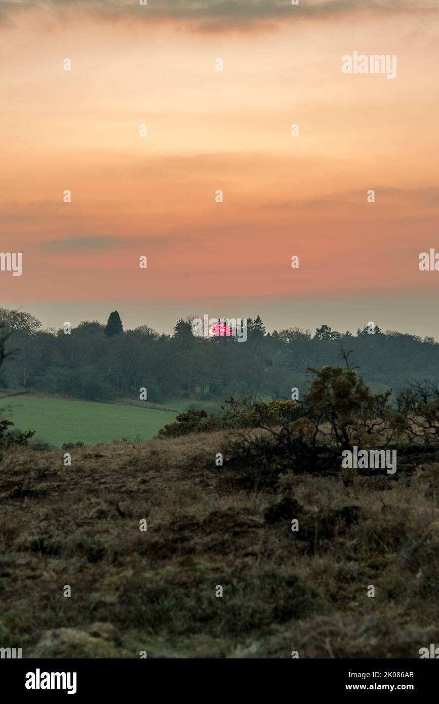 Red sky with forest hi-res stock photography and images - Alamy