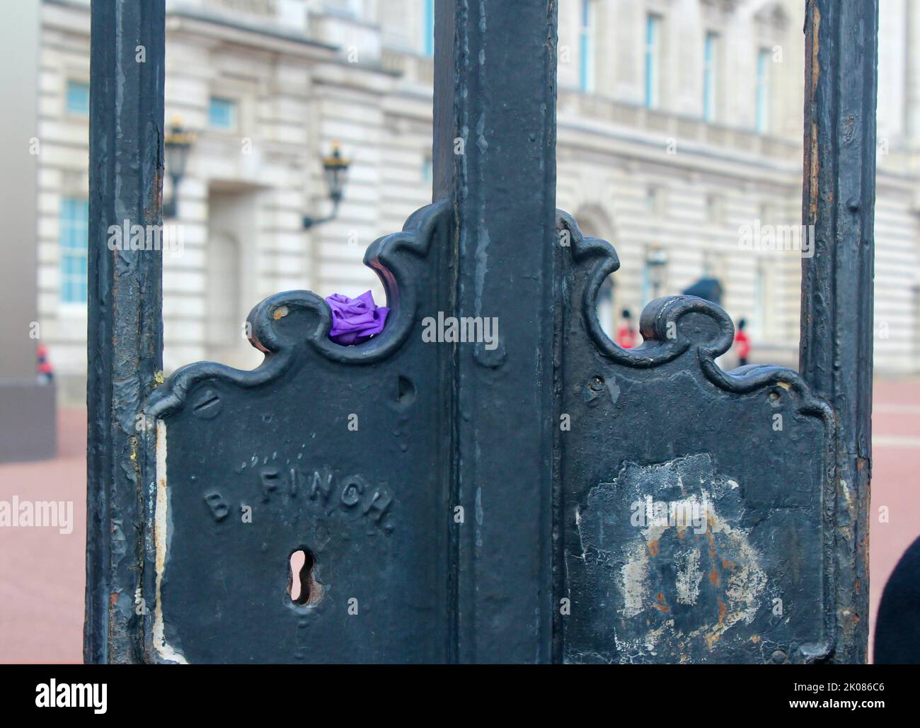 a single purple flower on the gates at buckingham palace horseguards ...