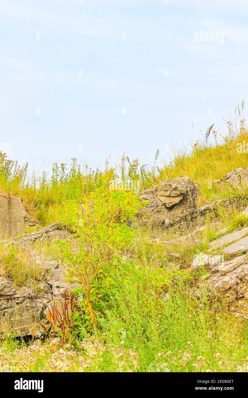 Natural dyke dike mudflat stones grass sea grass seaweed landscape with ...