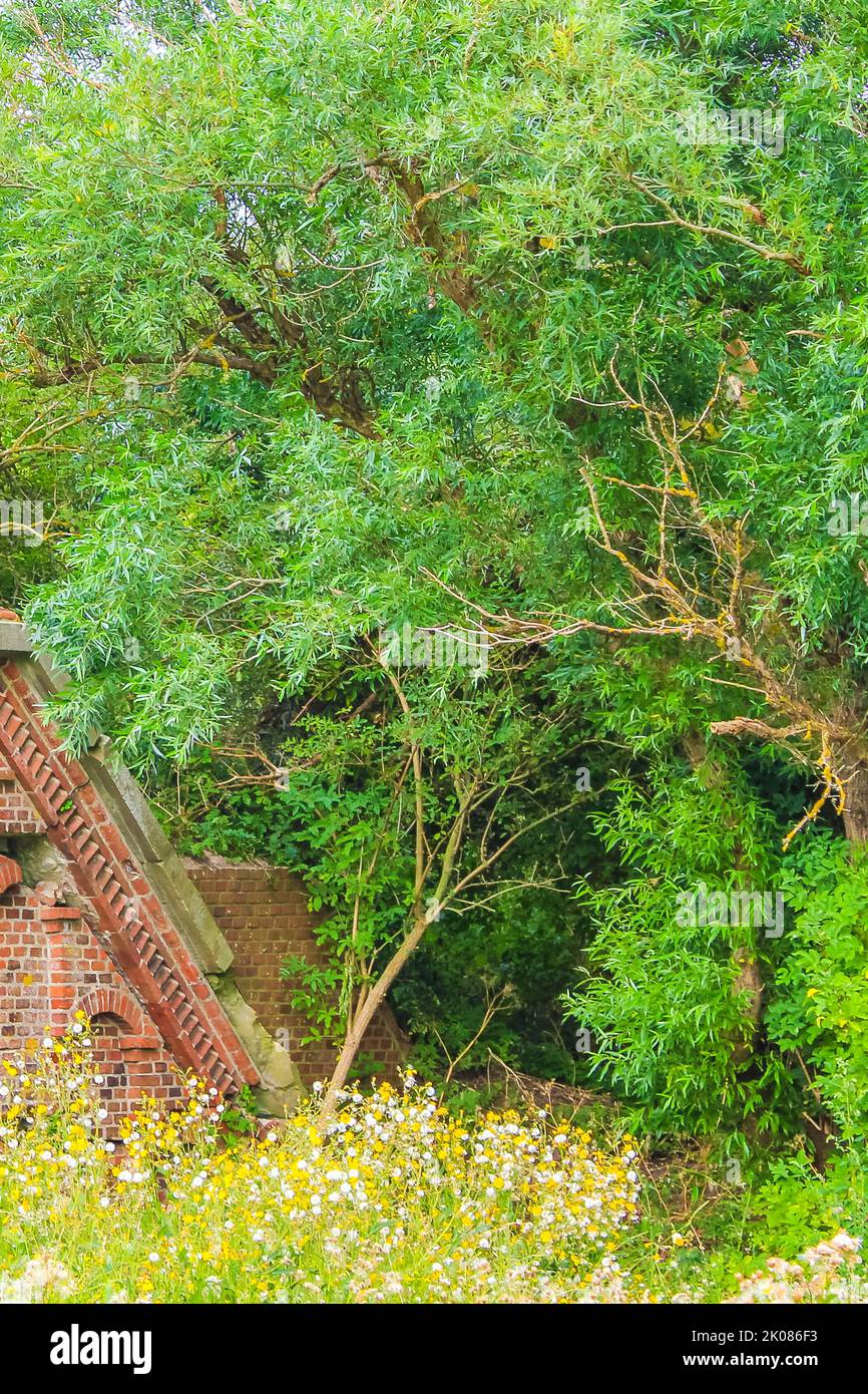 Natural dyke dike mudflat stones grass sea grass seaweed landscape with ...