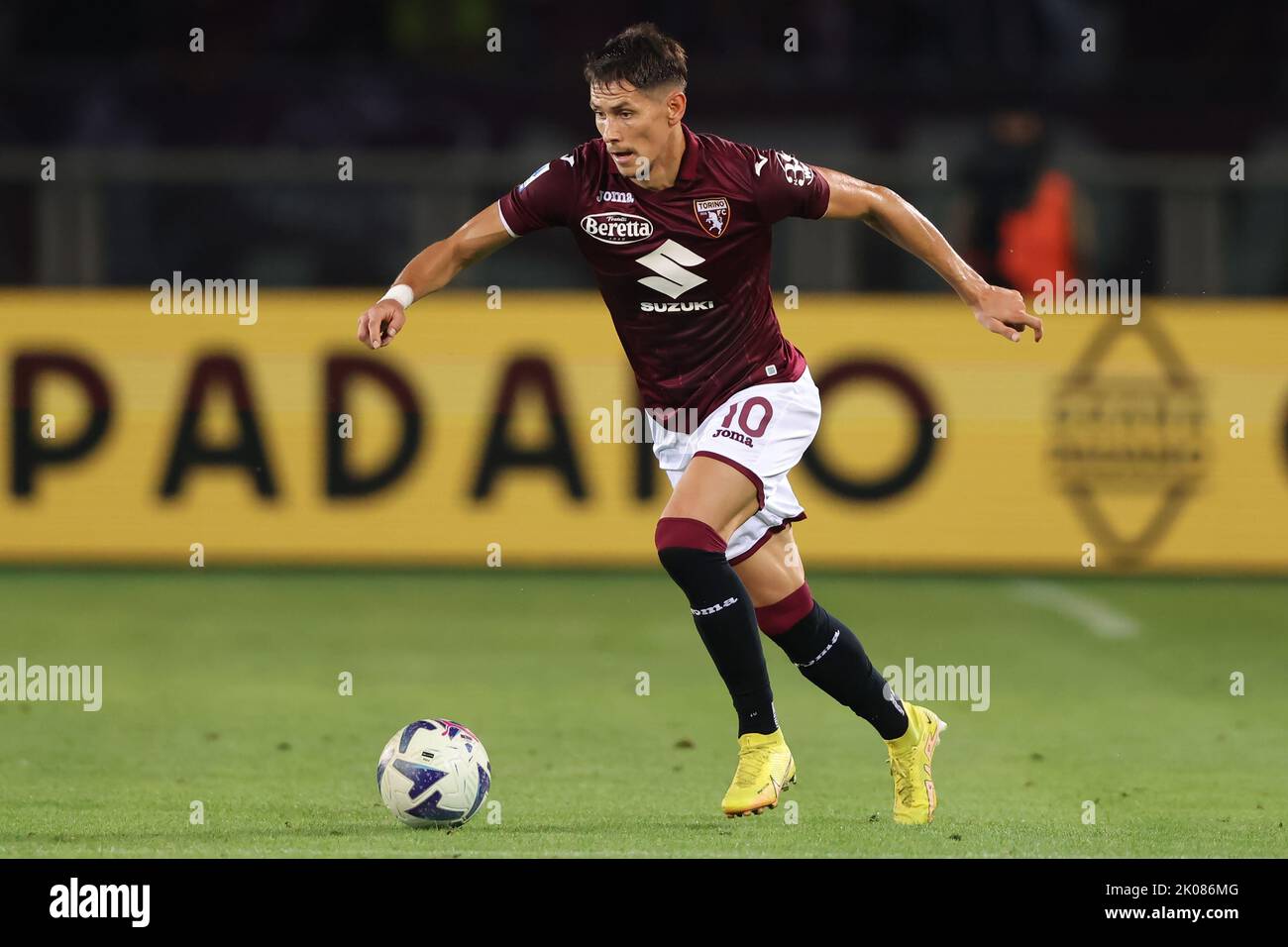 Turin, Italy, 5th September 2022. Sasa Lukic of Torino FC during the ...
