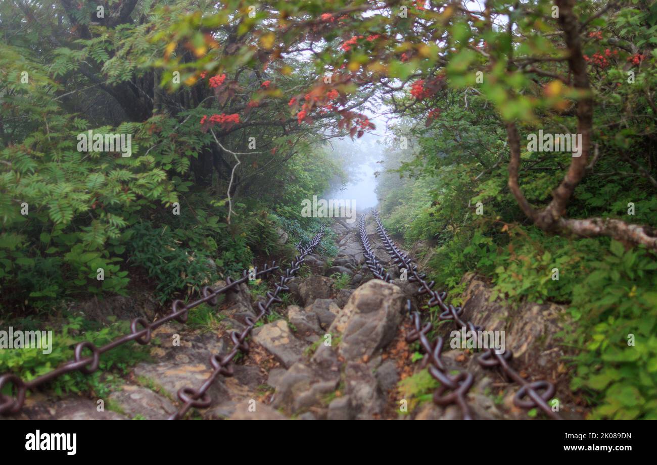 Old chains through misty mountain anchored into rock to assist climbers ...