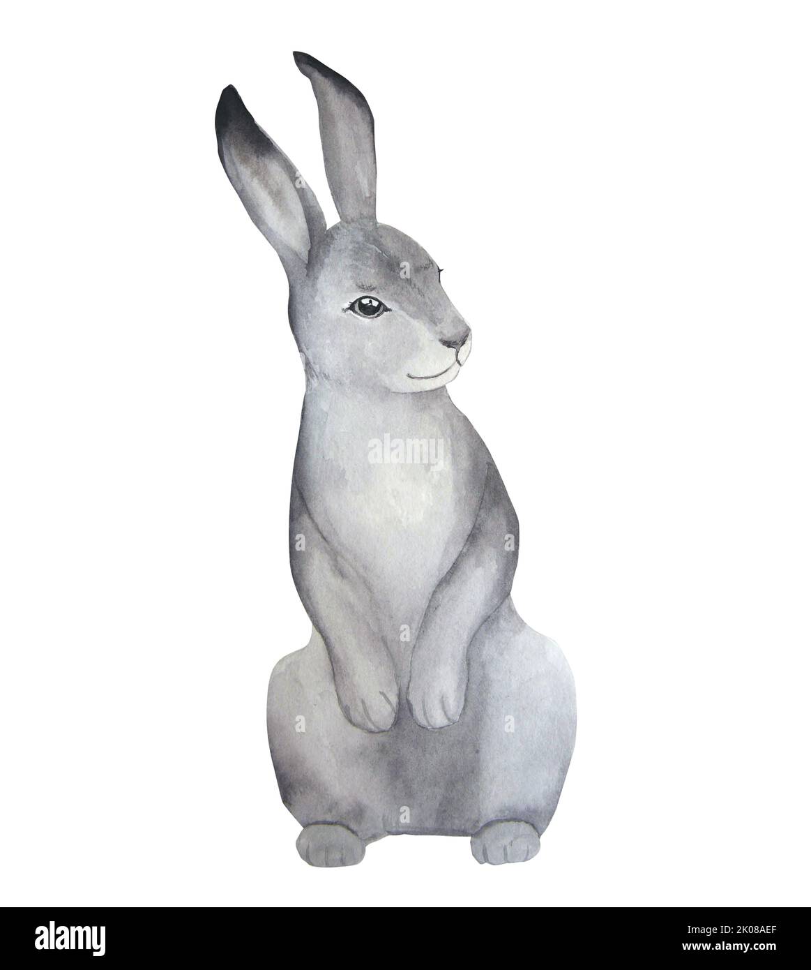 Watercolor illustration of cute rabbits Stock Photo - Alamy