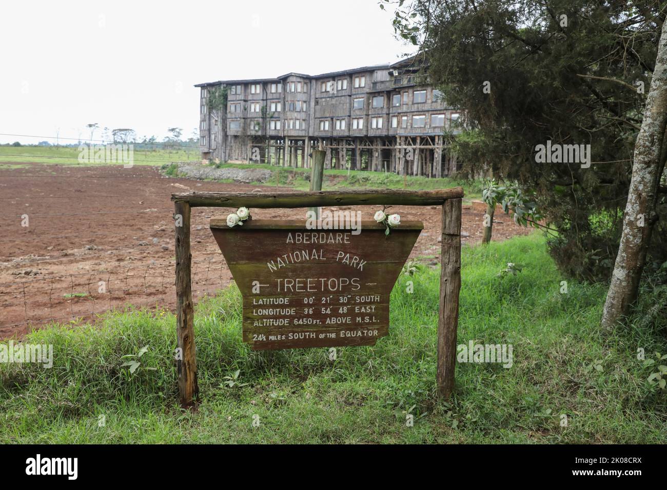 Treetops hotel kenya hi-res stock photography and images - Alamy