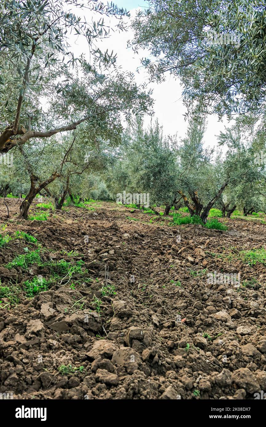 Tilled landscape hi-res stock photography and images - Alamy