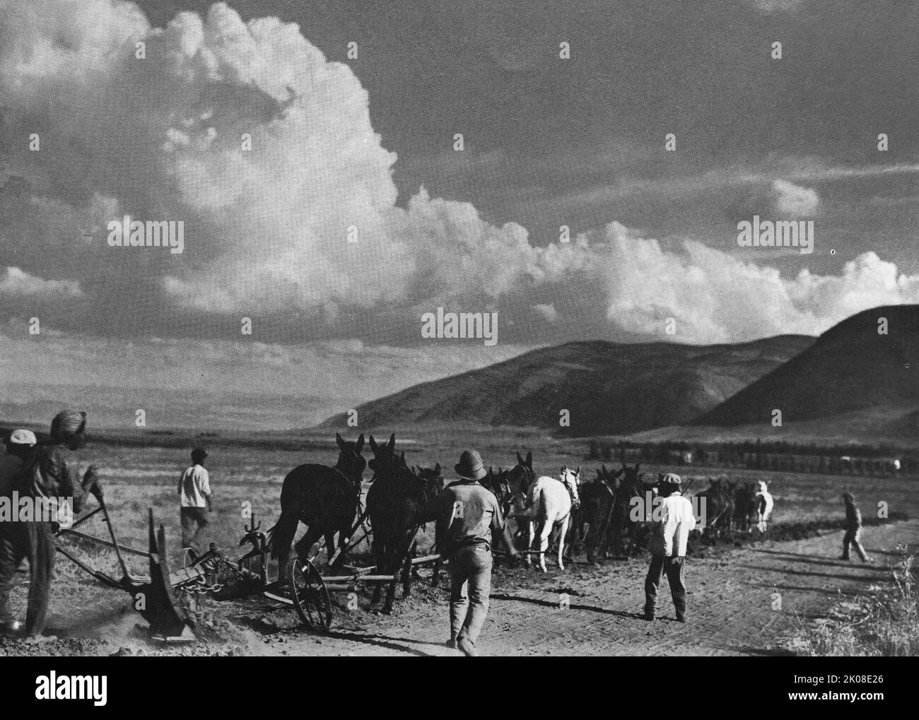 White fields Black and White Stock Photos & Images - Alamy