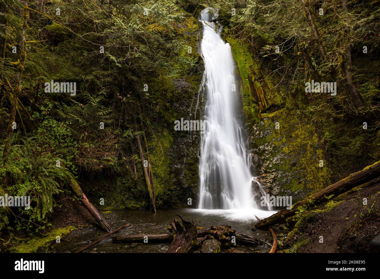 WA21973-00...WASHINGTON - Madison Falls located in the Elwha River ...