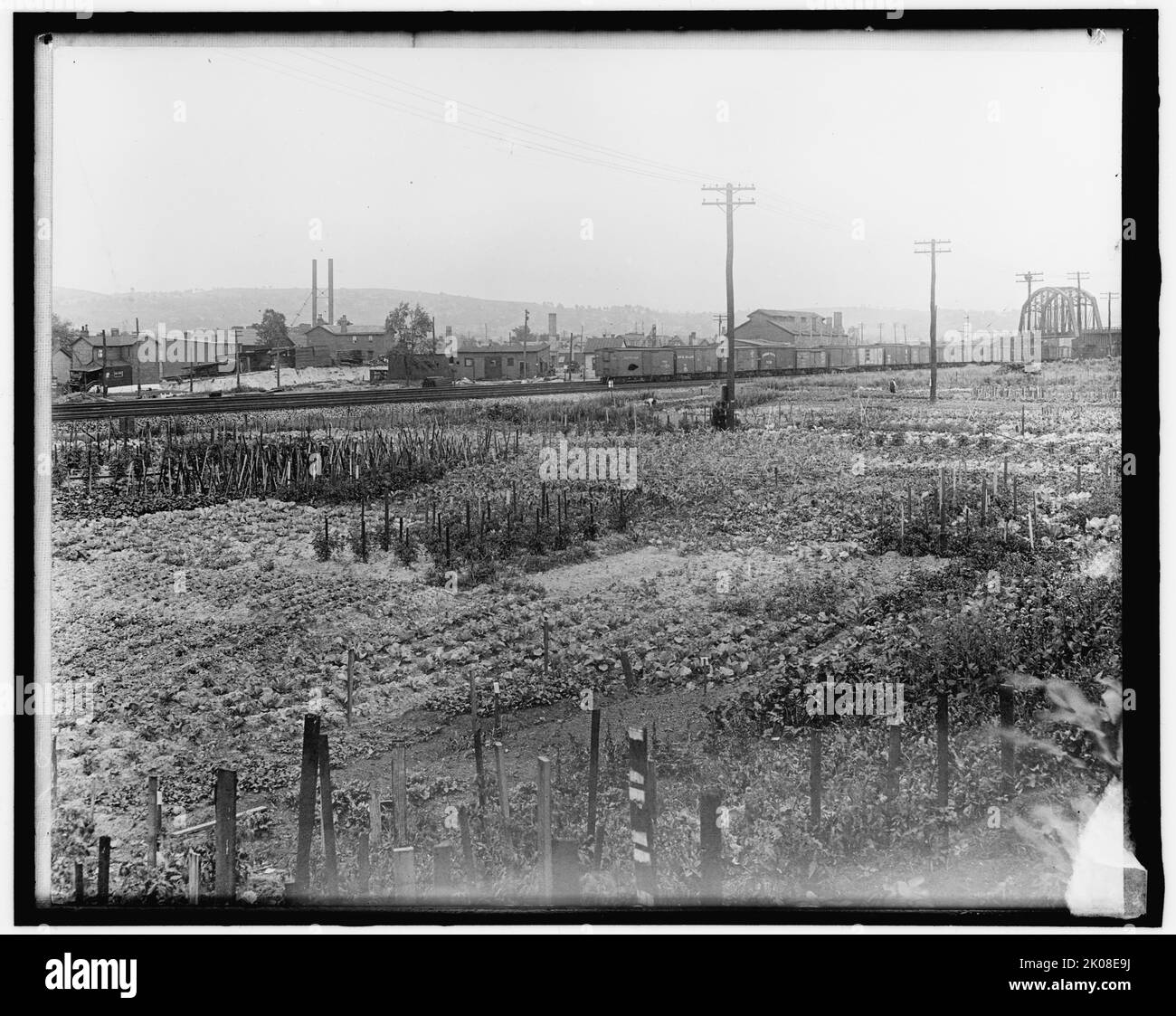 War Garden Commission, between 1910 and 1920 Stock Photo - Alamy