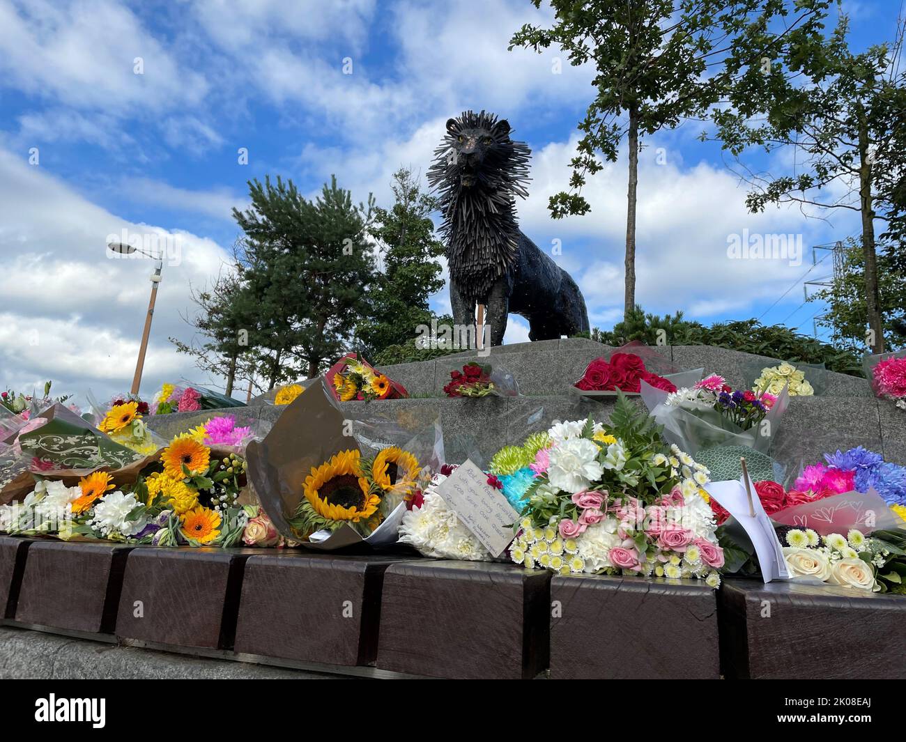 Floral tributes at Aslan statue in CS Lewis Square in east Belfast ...