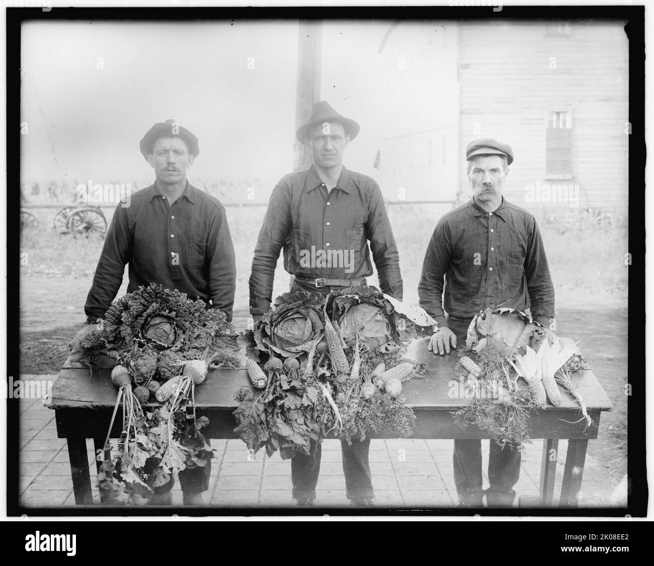 War Garden Commission, between 1910 and 1920 Stock Photo - Alamy