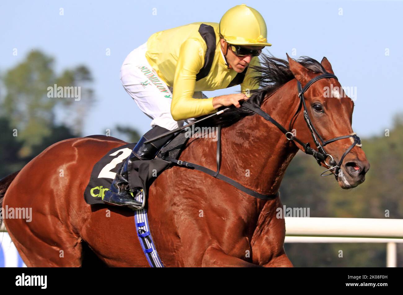 Jadoomi ridden by Christophe Soumillon wins The Clipper Logistics ...