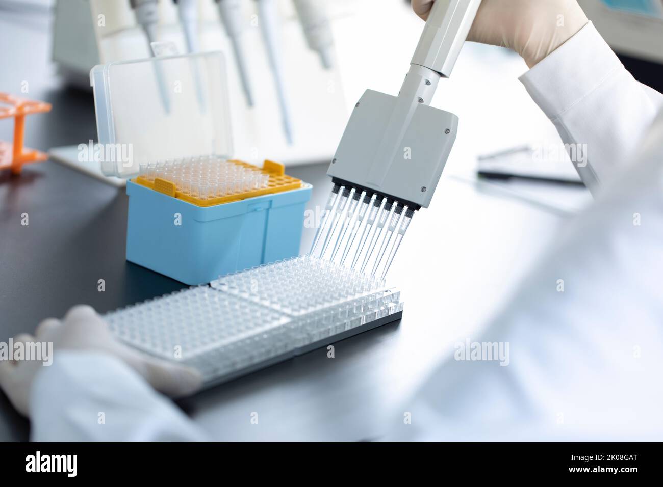 Chinese scientist pipetting samples in laboratory Stock Photo - Alamy