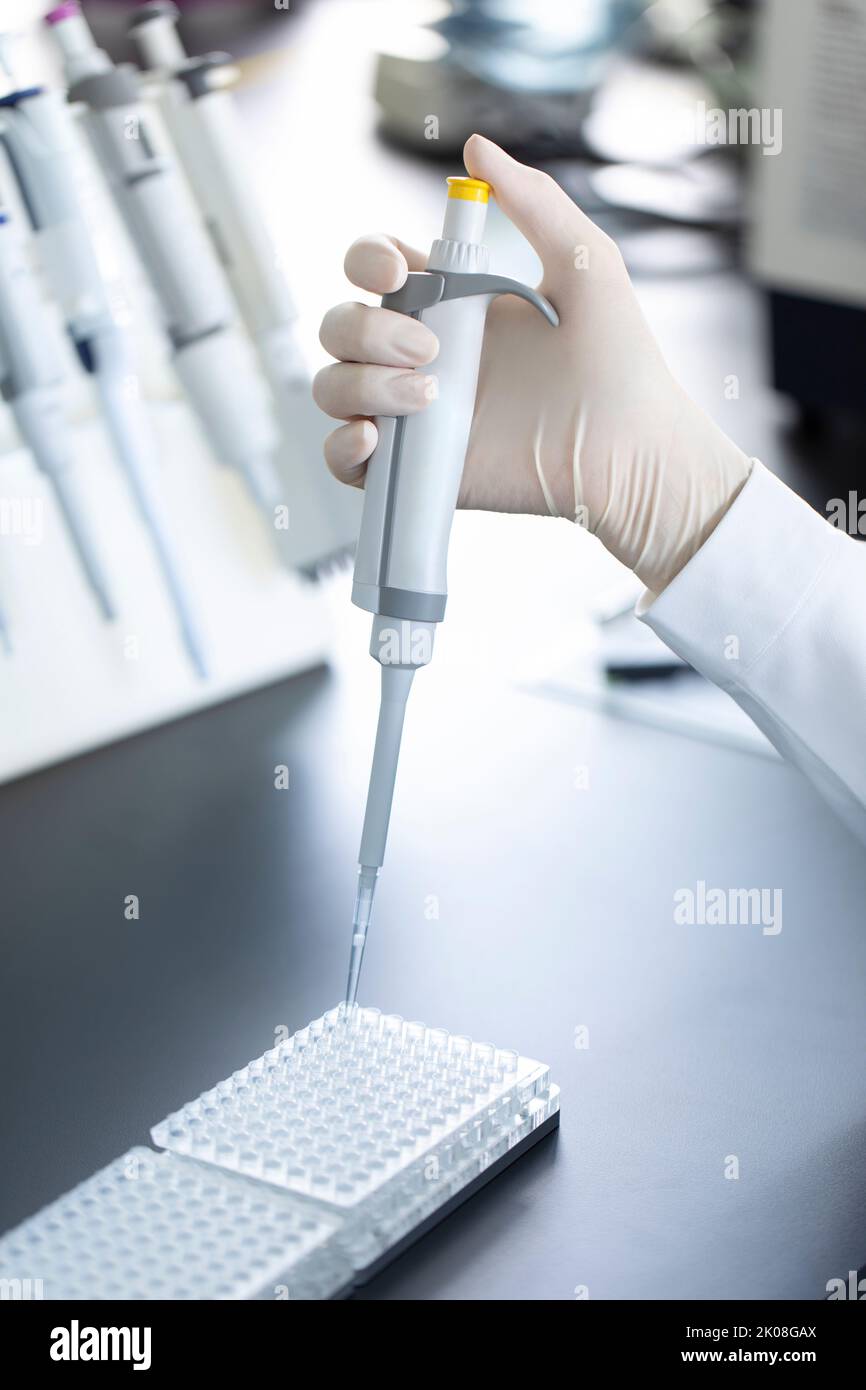 Chinese scientist pipetting samples in laboratory Stock Photo - Alamy