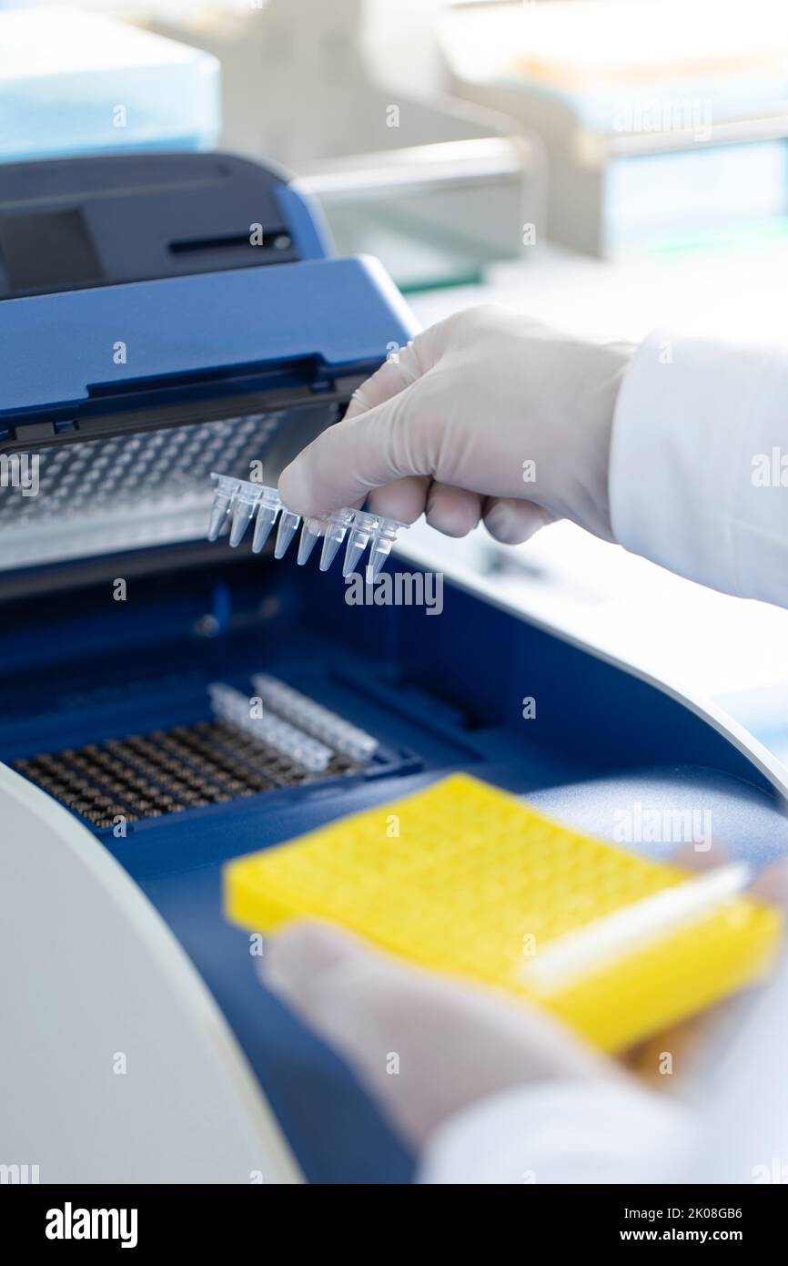 Chinese scientist examining medical samples in laboratory Stock Photo ...