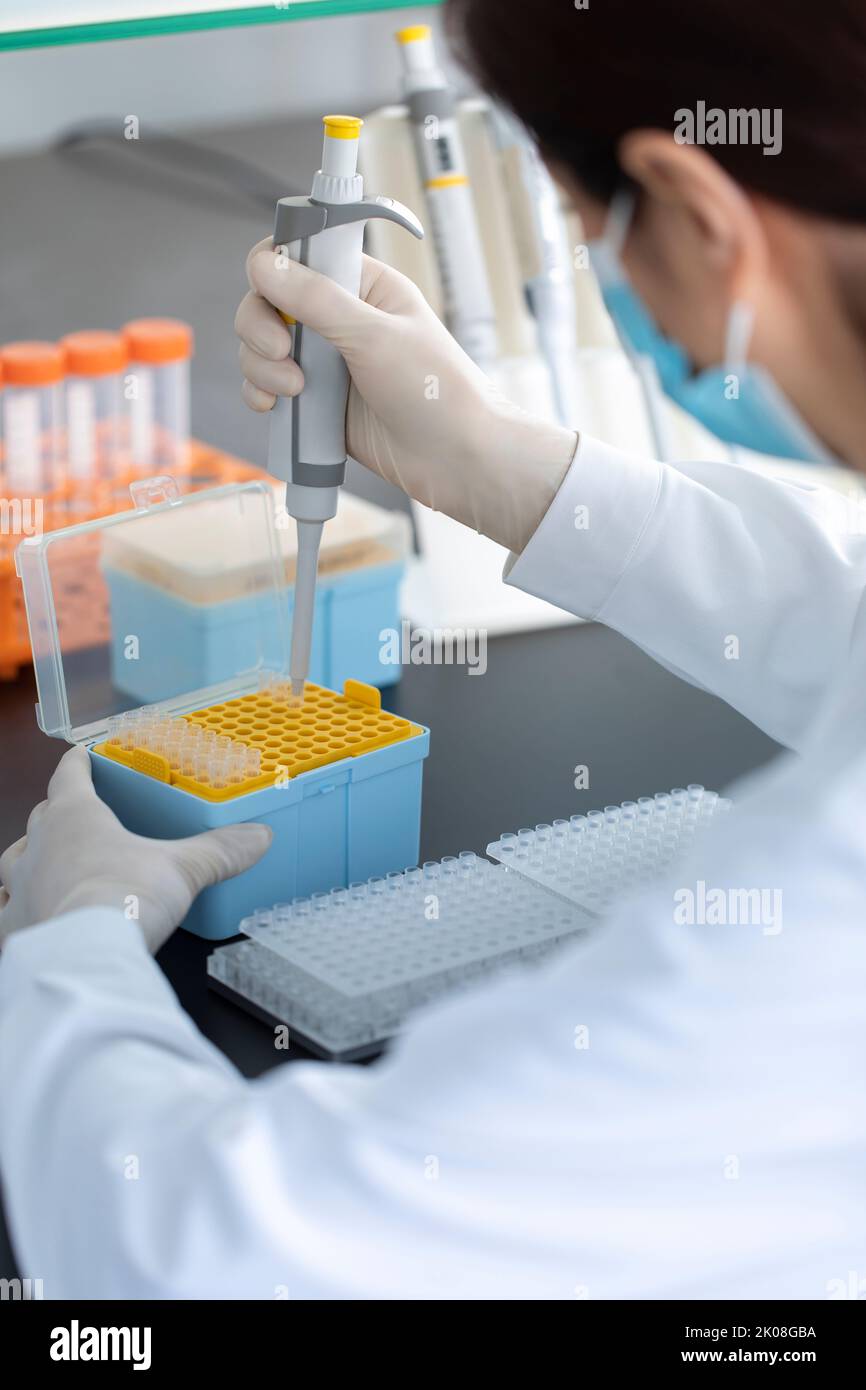 Chinese scientist pipetting samples in laboratory Stock Photo - Alamy