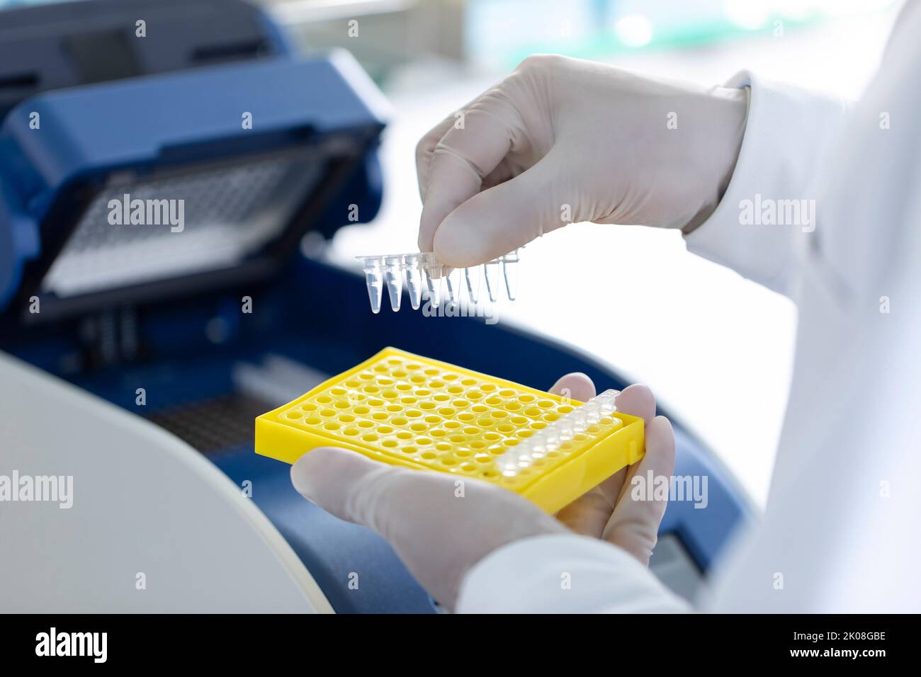 Chinese scientist examining medical samples in laboratory Stock Photo ...