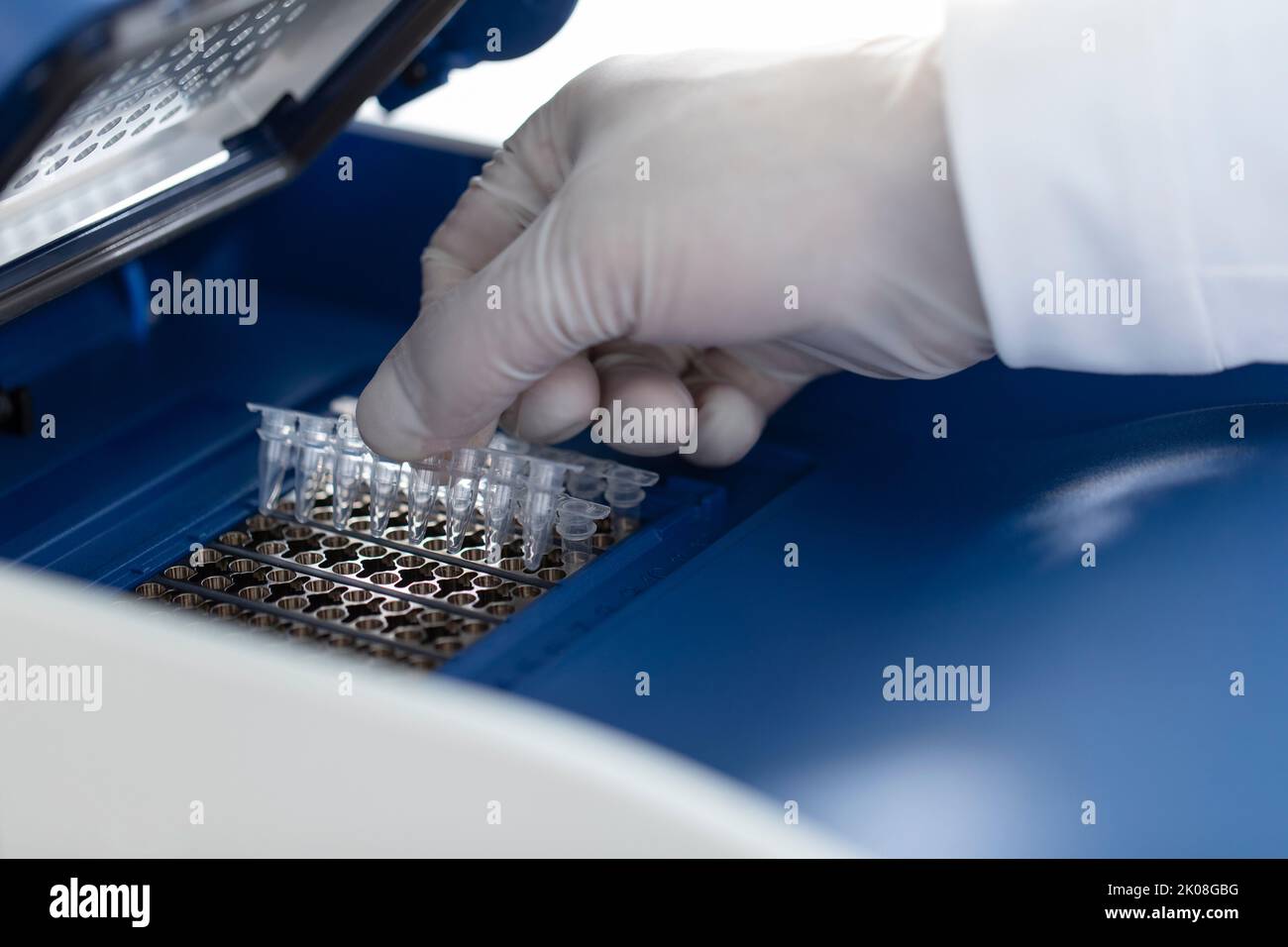 Chinese scientist examining medical samples in laboratory Stock Photo ...