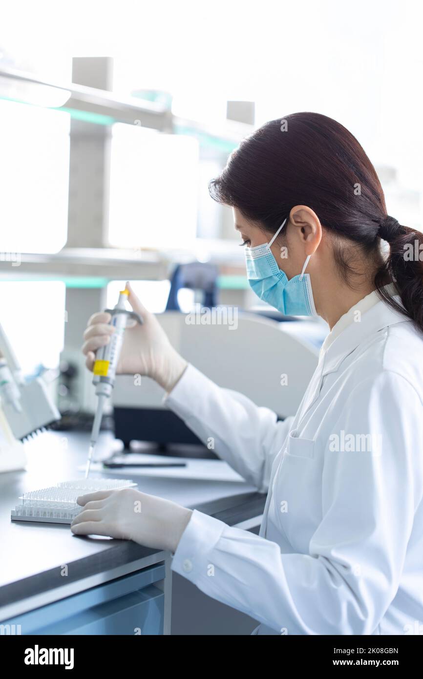 Chinese scientist pipetting samples in laboratory Stock Photo - Alamy