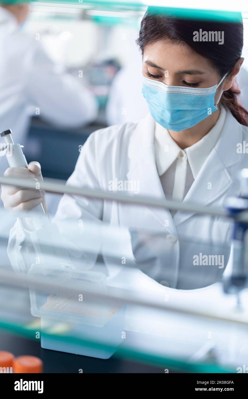 Mature scientist working samples hi-res stock photography and images ...