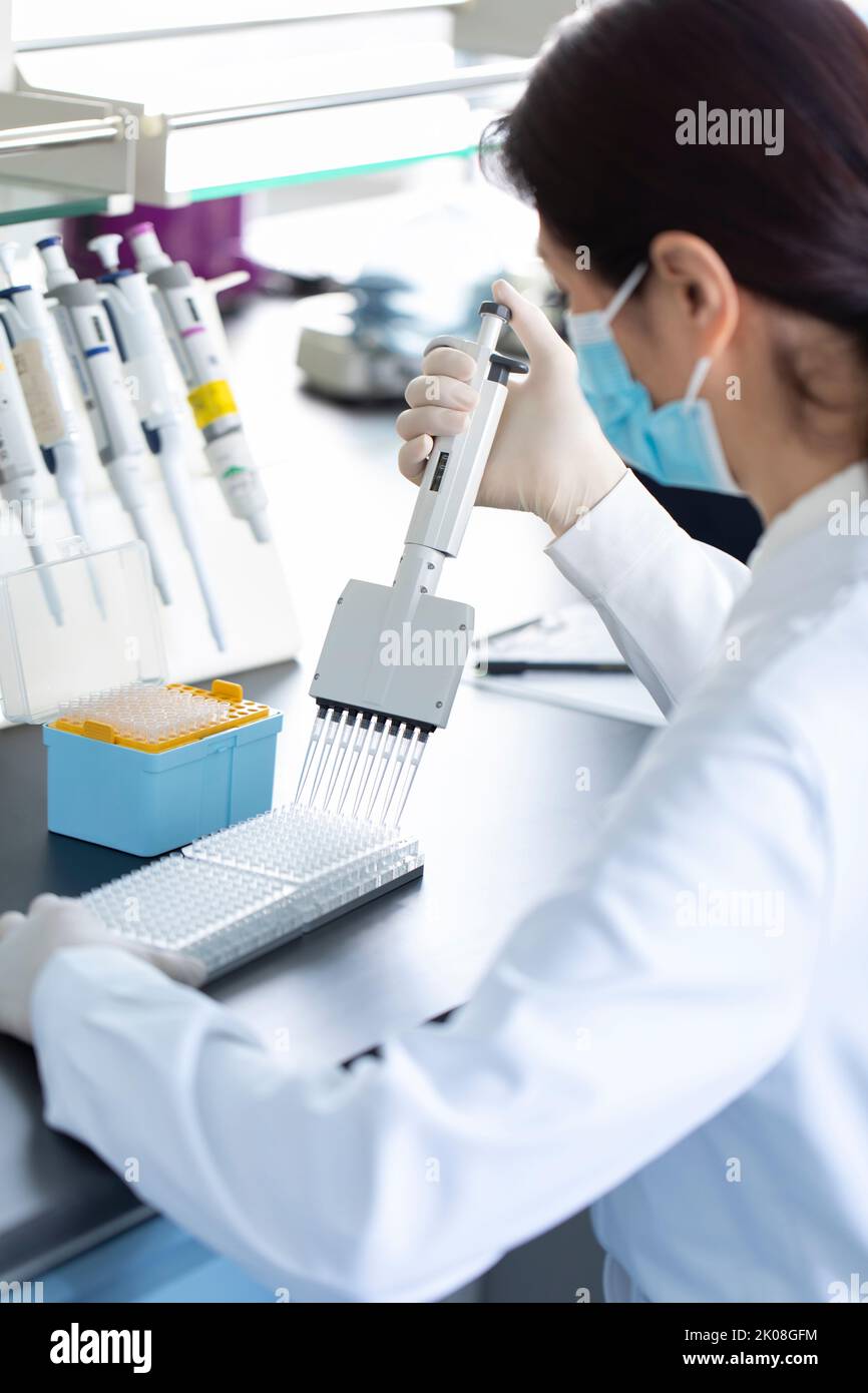 Chinese scientist pipetting samples in laboratory Stock Photo - Alamy