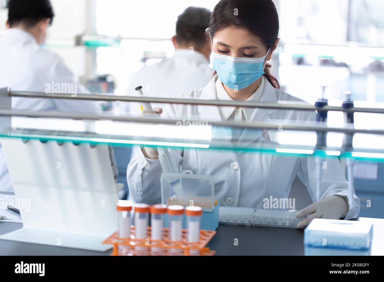 Chinese scientist pipetting samples in laboratory Stock Photo - Alamy