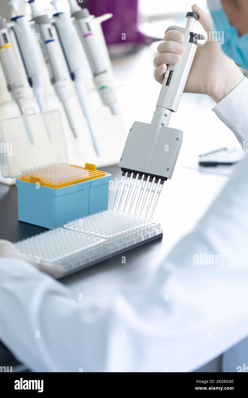 Chinese scientist pipetting samples in laboratory Stock Photo - Alamy