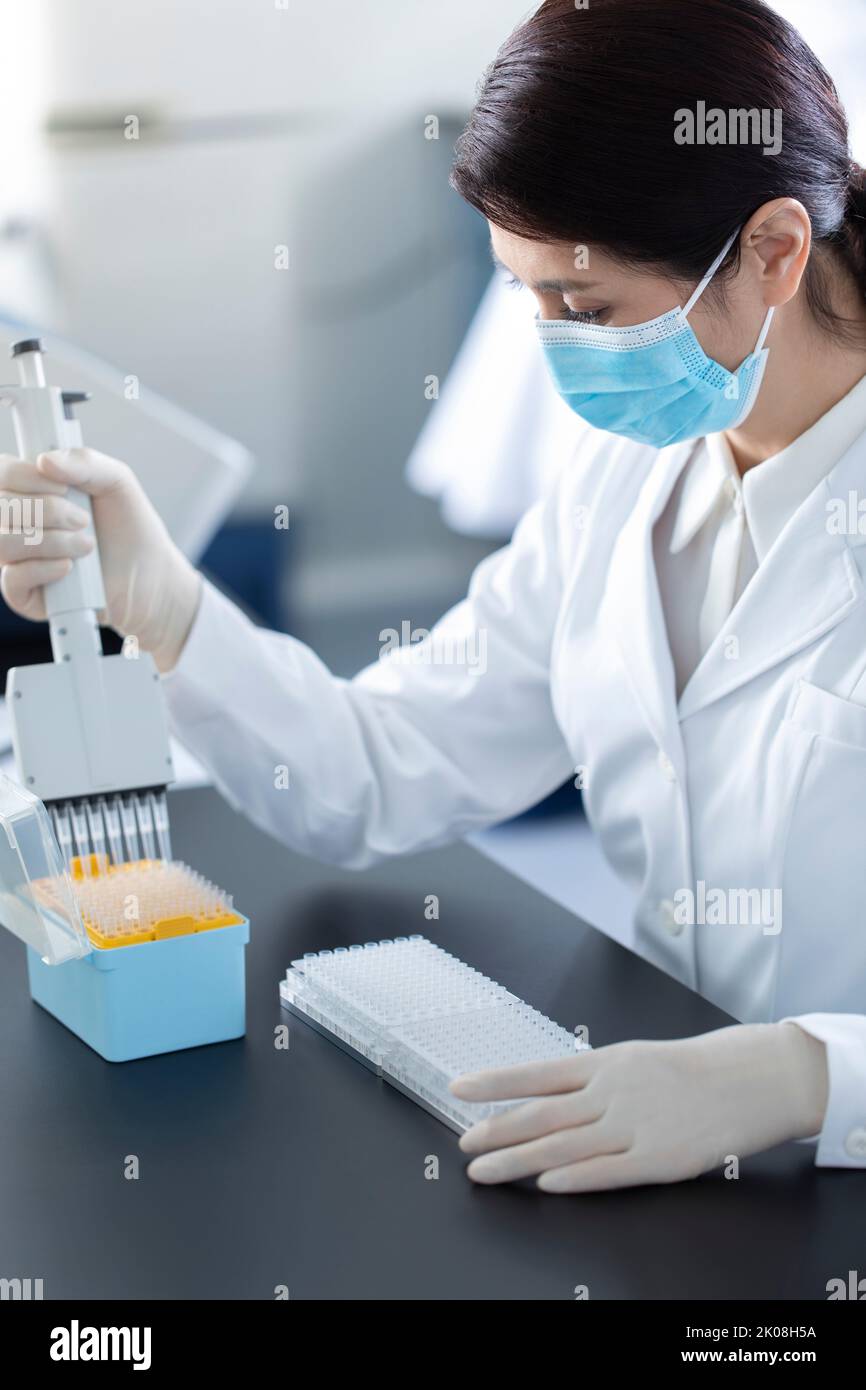 Chinese scientist pipetting samples in laboratory Stock Photo - Alamy