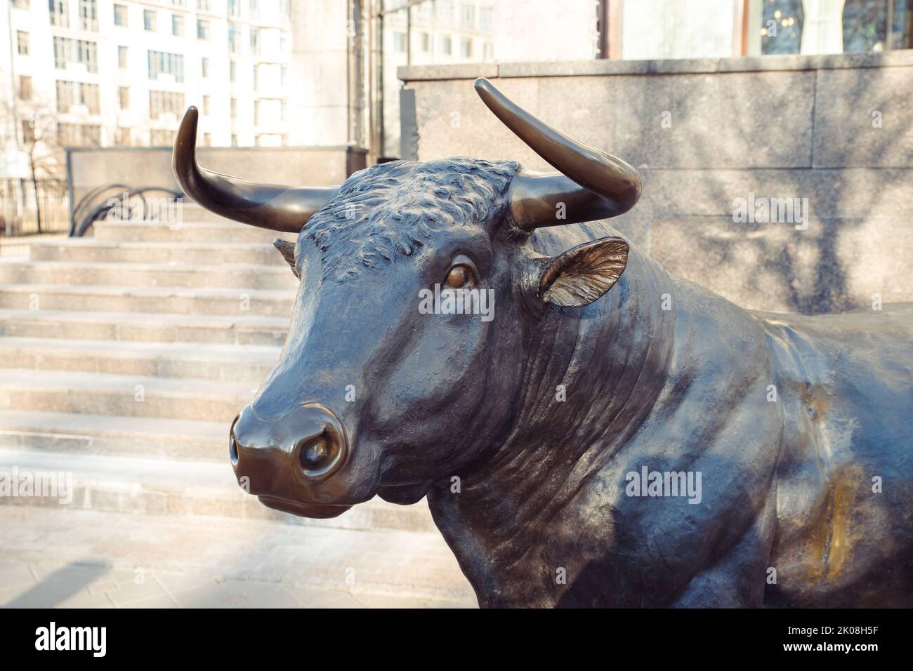 Bull's head, metal sculpture on street on stone staircase background ...