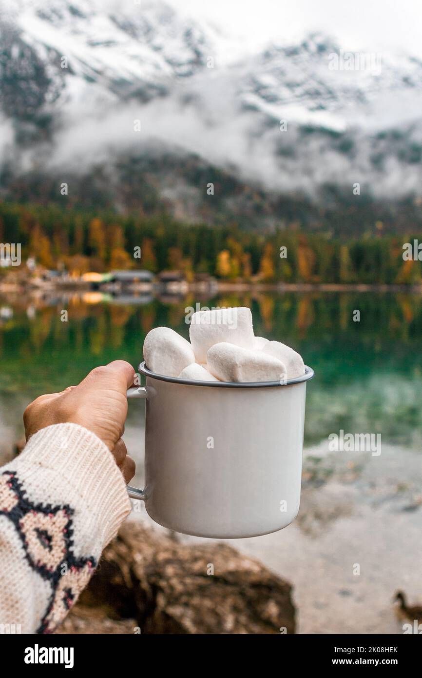 Picnic in the Bavarian mountains, Germany. Hand with mug of cacao and ...