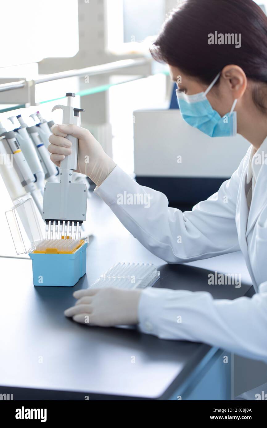 Chinese scientist pipetting samples in laboratory Stock Photo - Alamy