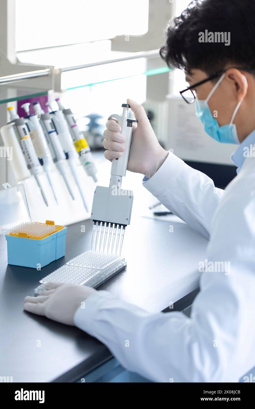 Chinese scientist pipetting samples in laboratory Stock Photo - Alamy
