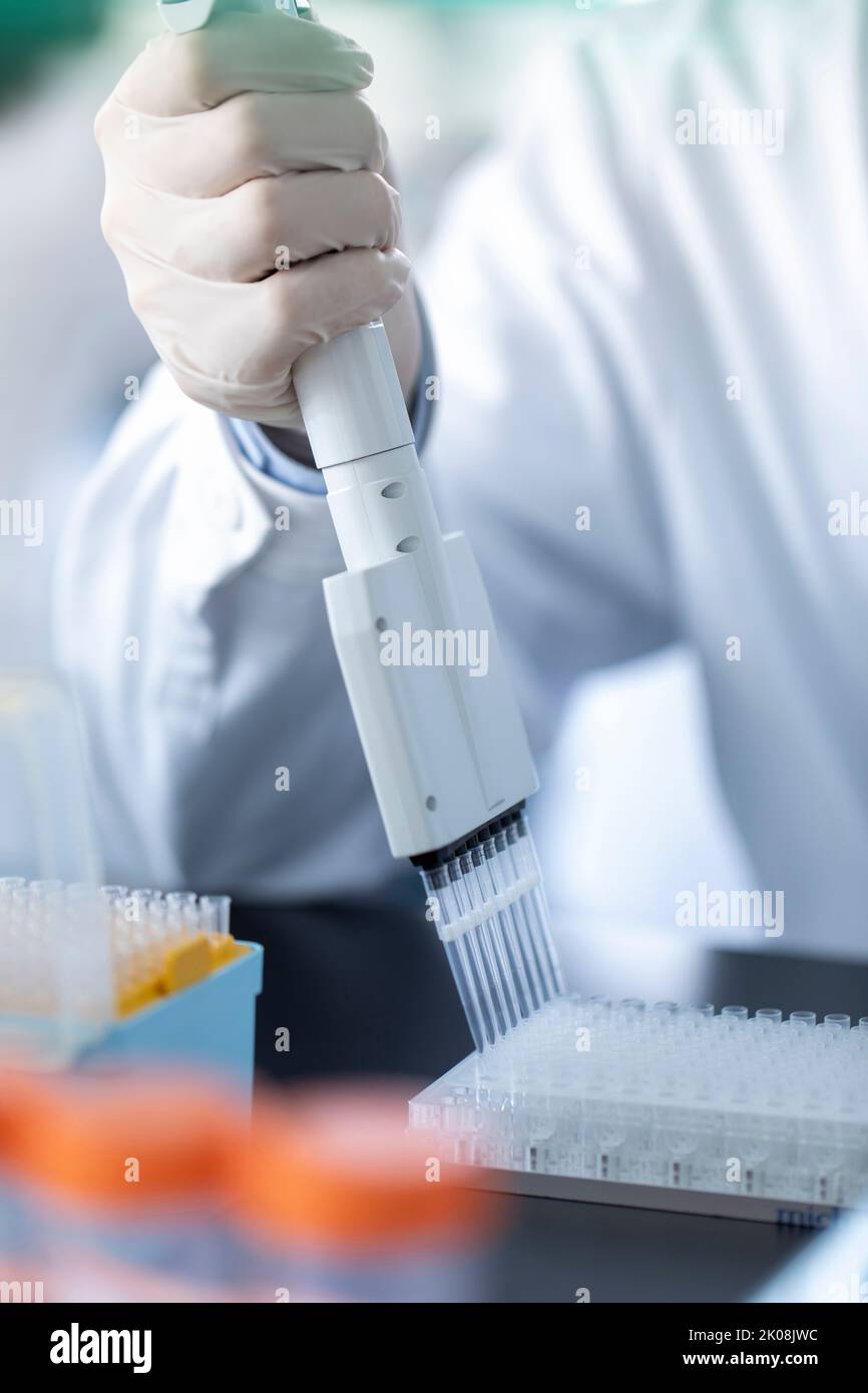 Chinese scientist pipetting samples in laboratory Stock Photo - Alamy