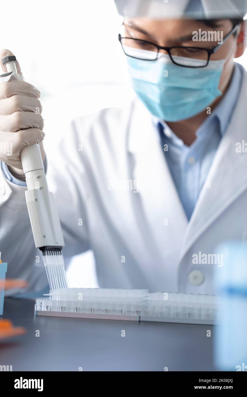 Chinese scientist pipetting samples in laboratory Stock Photo - Alamy